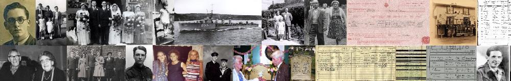 David and Sue Wilkinson's family tree